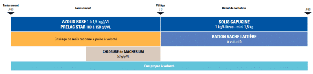 Programmes alimentaires Vaches Laitière - Péri-partum • EVIALIS