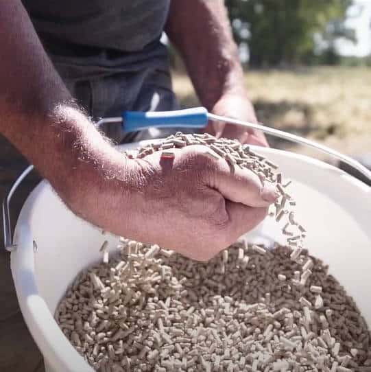 Outil de personnalisation Ruminants - Mélanges • EVIALIS