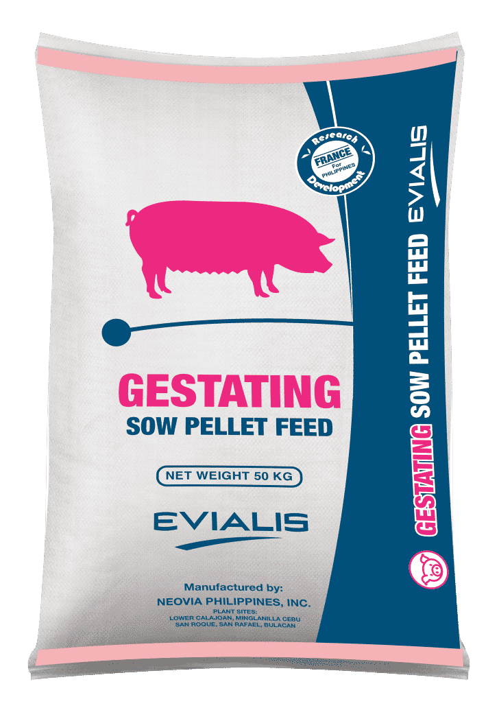 Become the breeder of tomorrow! EVIALIS, the leader in animal nutrition